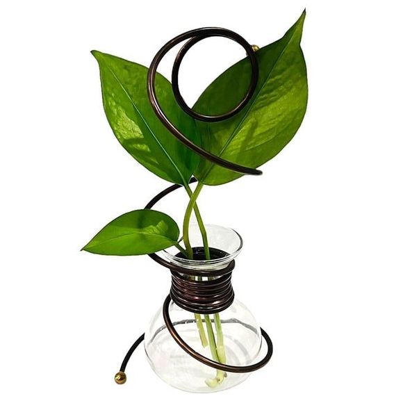 Accents | Handmade Copper Swirl Glass Plant Starter Bud Vase | Poshmark